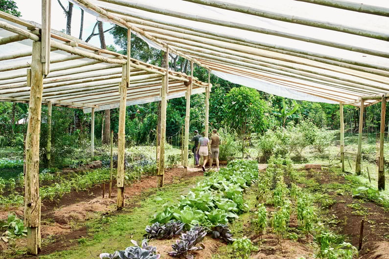 Pivoting With Purpose Program - An Intergenerational Retreat